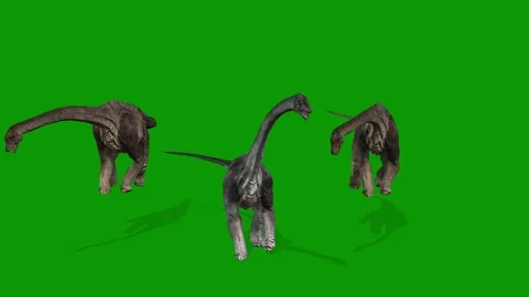 Multiple Carnotaurus Dinosaurs Animatio... | Stock Video | Pond5