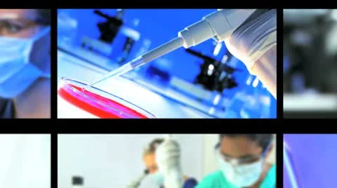 Research Montage Stock Video Footage | Royalty Free Research Montage ...