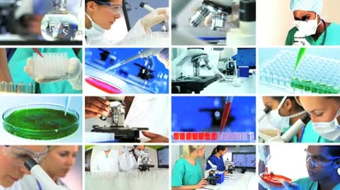 Research Montage Stock Video Footage | Royalty Free Research Montage ...