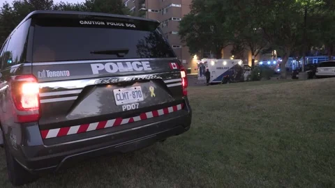 Multiple police cars with red blue emerg... | Stock Video | Pond5