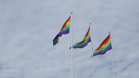 Multiple Rainbow Flags Waving In A Wind | Stock Video | Pond5