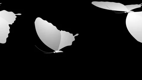 Butterfly Overlay Stock Footage ~ Royalty Free Stock Videos | Page 2