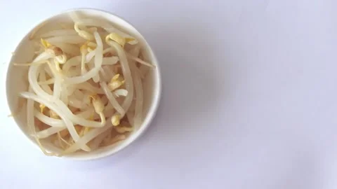Mung bean sprouts in a small bowl on a w... | Stock Video | Pond5