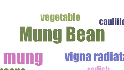 Mung Bean Tag Cloud Animated Isolated On... | Stock Video | Pond5