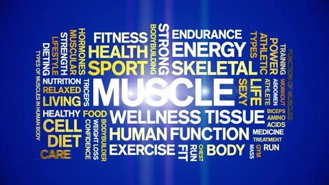Muscle Animation Stock Videos – Royalty-Free HD & 4K Videos | Pond5