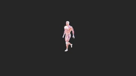 Muscular Man Walking With Visible Muscle... | Stock Video | Pond5