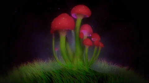 Mashroom Animation Stock Video Footage | Royalty Free Mashroom ...