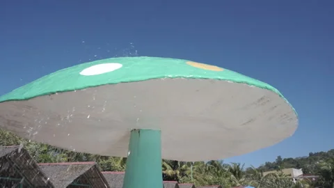 Mushroom Design Stock Videos – Royalty-Free HD & 4K Videos | Pond5