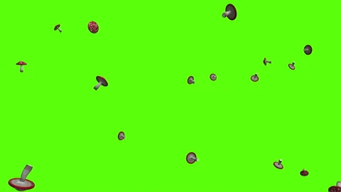 Mushrooms exploding over green screen. F... | Stock Video | Pond5