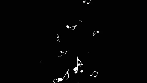 Composer G Stock Videos – Royalty-Free HD & 4K Videos | Pond5