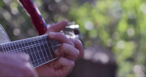 Mandolin Sound Stock Videos – Royalty-Free HD & 4K Videos | Pond5