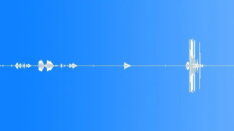 Shots Fired Sound Effects ~ Shots Fired Sounds | Pond5