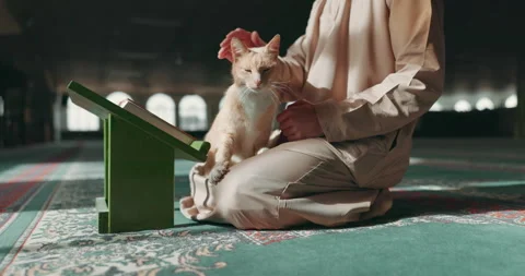 Muslim, person and cat in a mosque durin... | Stock Video | Pond5