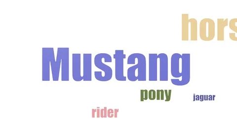 P 51 Mustang Stock Video Footage | Royalty Free P 51 Mustang Videos | Pond5