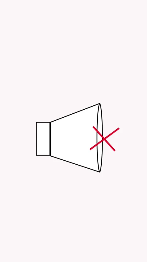 Megaphone Vector Stock Videos – Royalty-Free HD & 4K Videos | Pond5