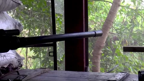 Muzzle Gun Stock Footage ~ Royalty Free Stock Videos | Pond5