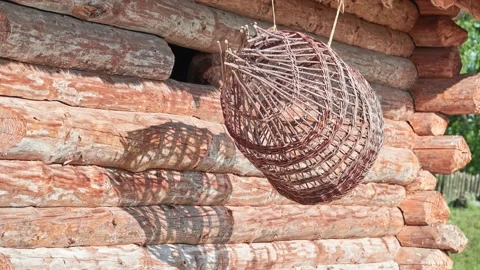 Muzzle Bricks Stock Videos – Royalty-Free HD & 4K Videos | Pond5