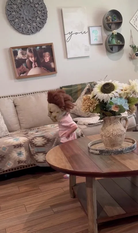 Obsessed With Her Stock Videos – Royalty-Free HD & 4K Videos