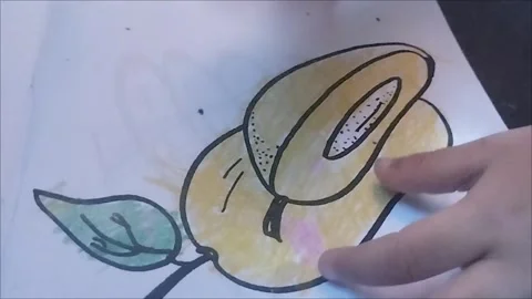 My Pictura Stock Videos – Royalty-Free HD & 4K Videos | Pond5