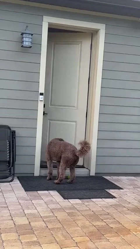 Oiur Neighbor Stock Videos – Royalty-Free HD & 4K Videos | Pond5