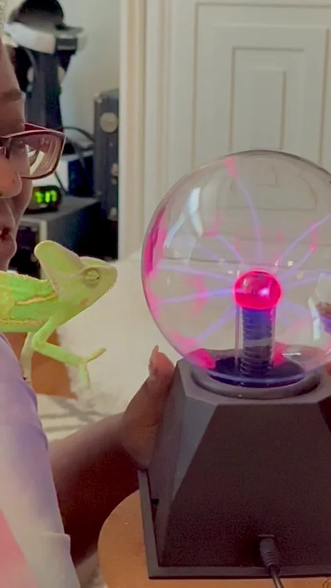 My Learning Stock Videos – Royalty-Free HD & 4K Videos