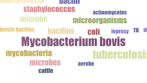 Mycobacterium Tuberculosis Stock Footage ~ Royalty Free Stock Videos ...