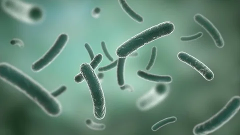 Mycobacterium Tuberculosis Stock Videos – Royalty-Free HD & 4K Videos ...