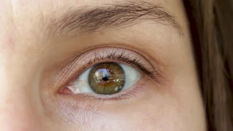 Eye Contact Girl Stock Videos – Royalty-Free HD & 4K Videos