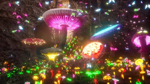 Glowing Mushroms Stock Videos – Royalty-Free HD & 4K Videos
