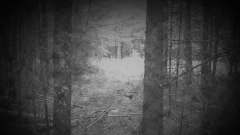 Horror Intro Stock Videos – Royalty-Free HD & 4K Videos