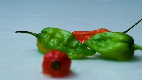 Naga morich or bombay chili drop into wa... | Stock Video | Pond5