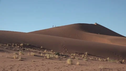 Dead Vlei Namibia Stock Videos – Royalty-Free HD & 4K Videos | Pond5