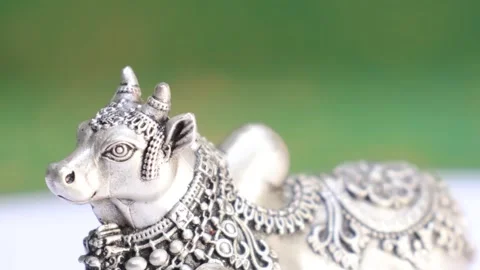 Nandi Maharaj, the sacred bull of Lord S... | Stock Video | Pond5