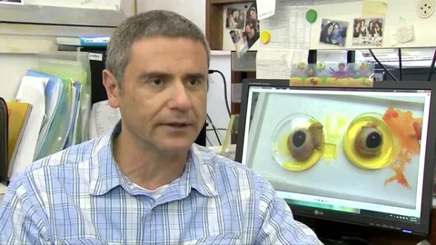 Only Nano Nano Stock Videos – Royalty-Free HD & 4K Videos | Pond5