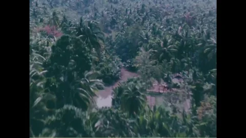 Vietnam Napalm Stock Video Footage | Royalty Free Vietnam Napalm Videos ...