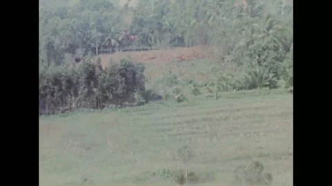 Vietnam Napalm Stock Video Footage | Royalty Free Vietnam Napalm Videos ...