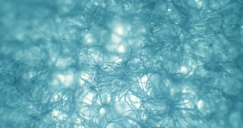 Napkin under a microscope. Camera slidin... | Stock Video | Pond5