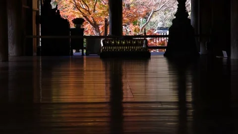 Nara: Autumn leaves on the floor of Hase... | Stock Video | Pond5