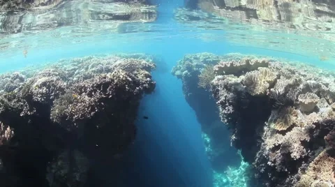 Narrow Crevice in Coral Reef | Stock Video | Pond5