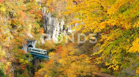 Naruko Gorge valley with rail tunnel in Miyagi Tohoku Japan ~ Premium ...
