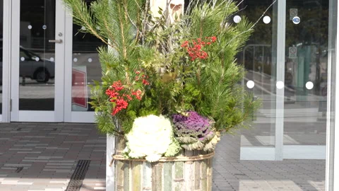 Angelyeah) [Naruto] Stock Videos – Royalty-Free HD & 4K Videos