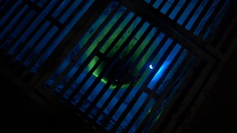 Nasir Al-Mulk Mosque water tank | Stock Video | Pond5