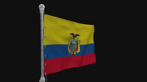 National Flag of Ecuador, Sign of Ecuado... | Stock Video | Pond5