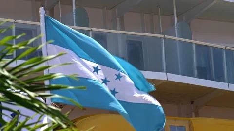 Roatan Stock Videos – Royalty-Free HD & 4K Videos