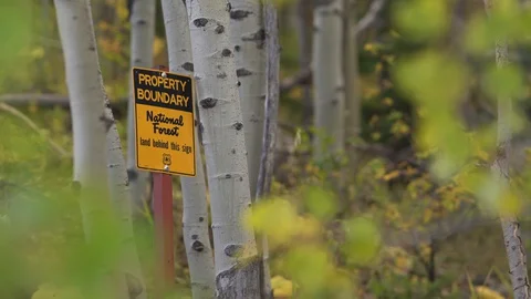 National Forest Boundary Sign | Stock Video | Pond5