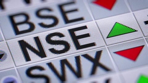 Nse Stock Videos – Royalty-Free HD & 4K Videos