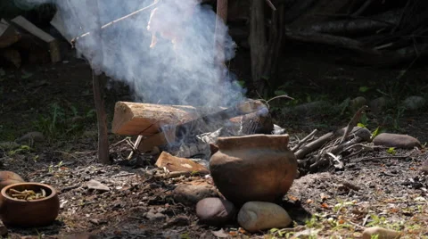 Native Stock Video Footage | Royalty Free Native Videos | Pond5