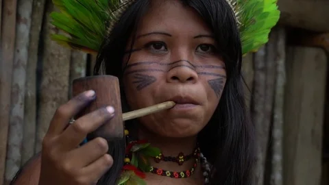 Native Brazilian woman from Tupi Guarani... | Stock Video | Pond5