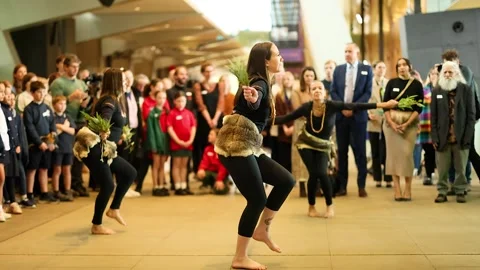 Kids Dance Show Stock Videos – Royalty-Free HD & 4K Videos | Page 3