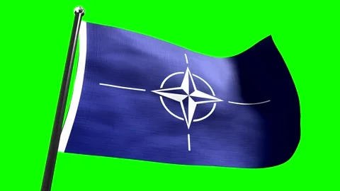 Nato Flag Stock Footage ~ Royalty Free Stock Videos | Pond5